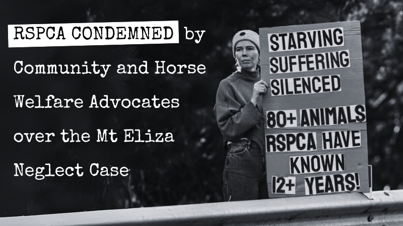 Mount Eliza Animal Crisis: RSPCA Inaction Questioned