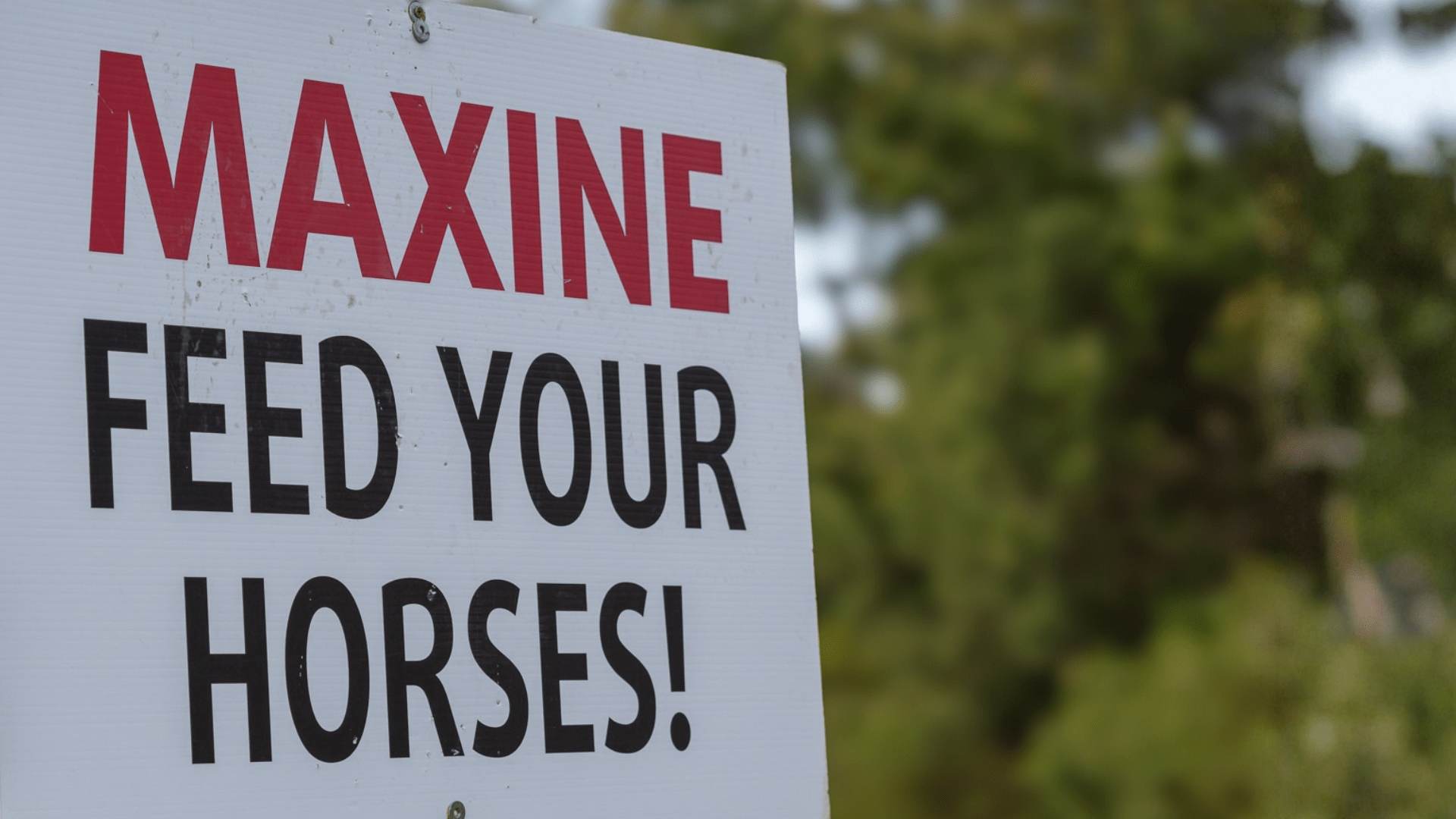 Rally for RSPCA Horses at Mount Eliza Raises $4,500